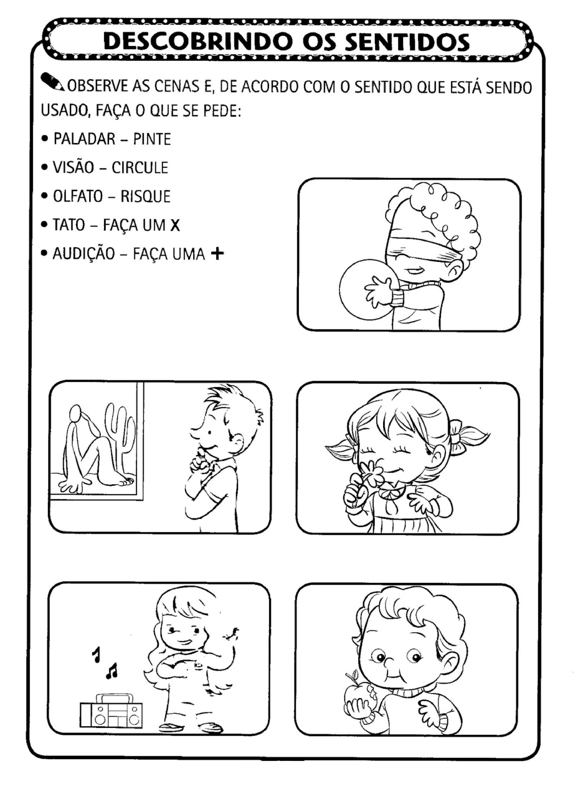 Educação infantil - Descobrindo os 5 sentidos: tato, olfato, audição ...